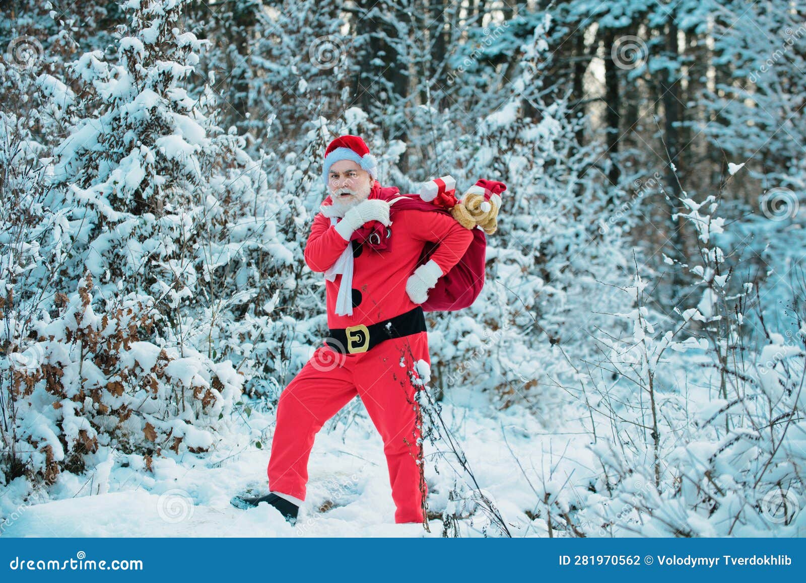 Santa Claus Comes in the Snow Forest. Stock Photo - Image of cool ...