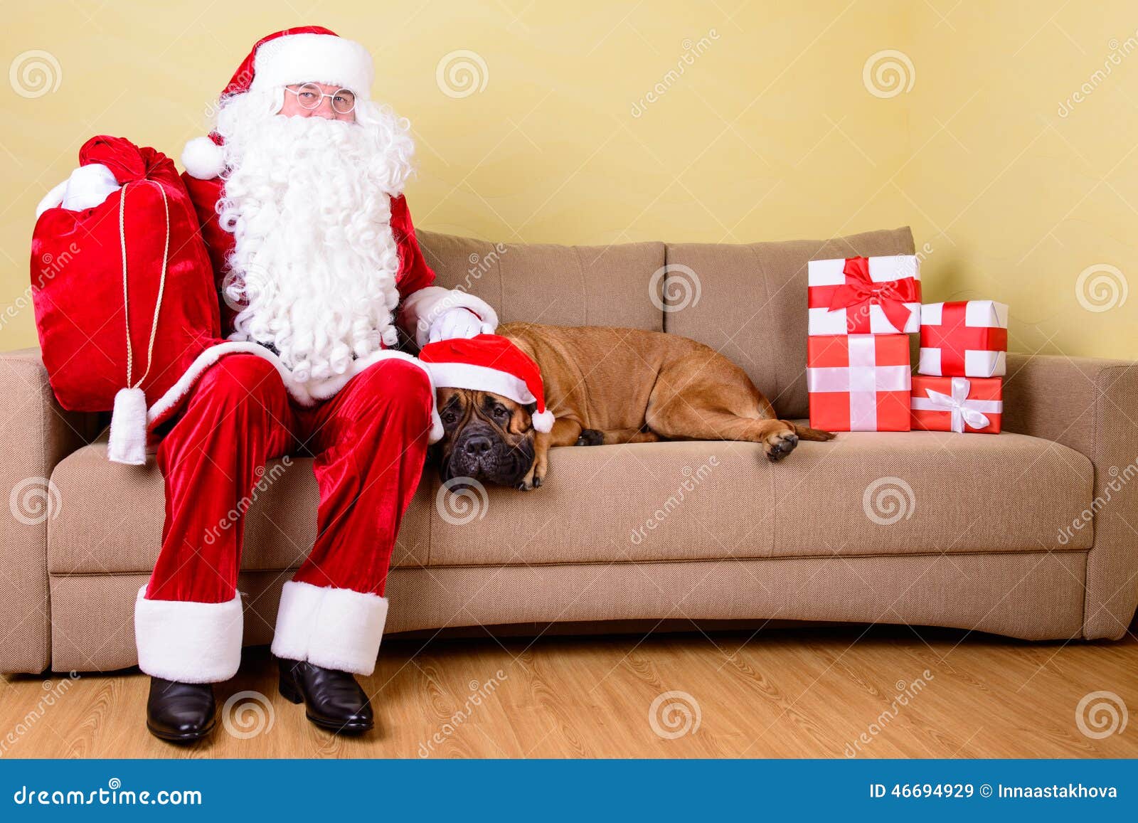 Santa Claus with dog stock image. Image of people, bullmastiff - 46694929