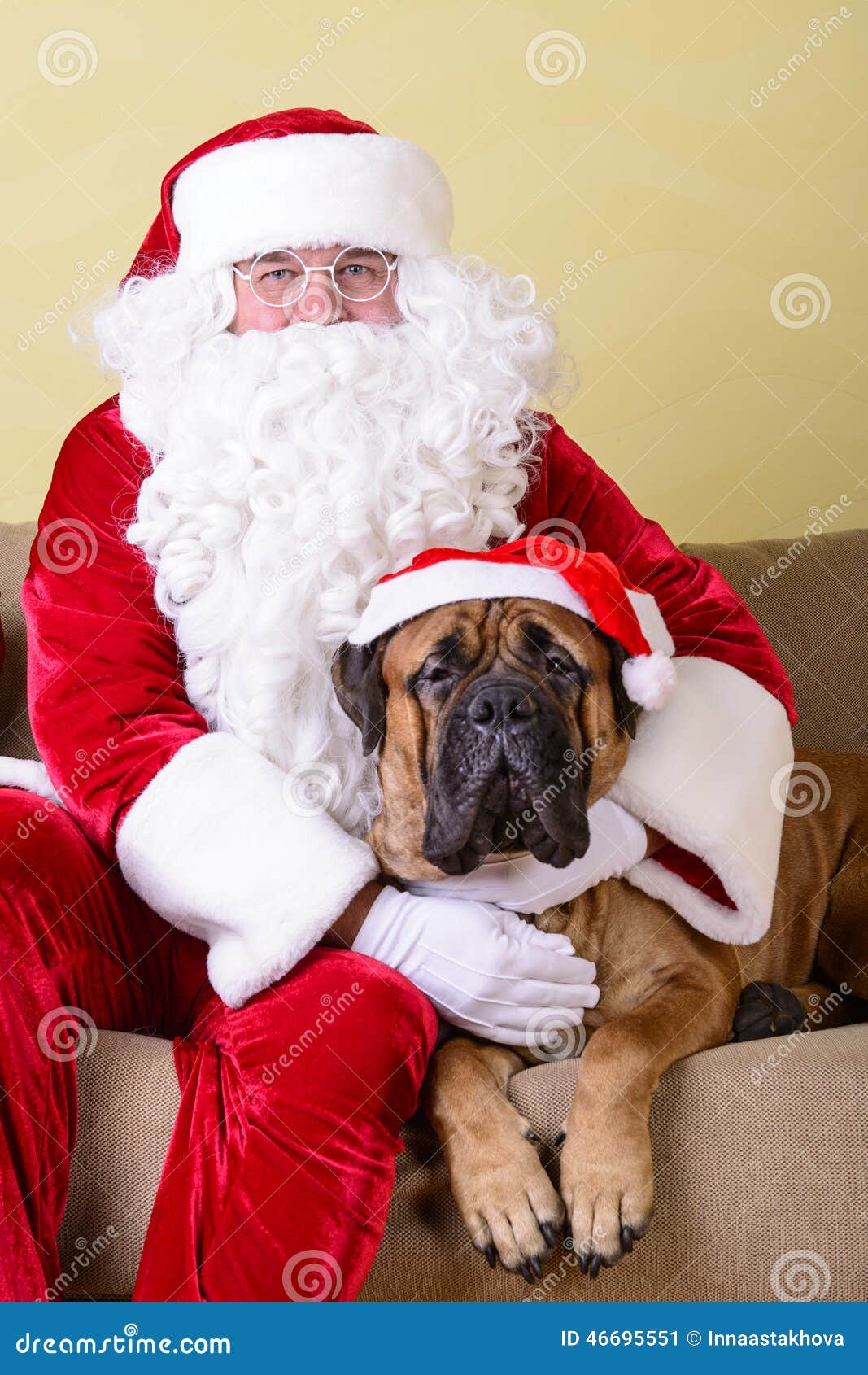 Santa Claus with dog stock image. Image of interior, friend - 46695551