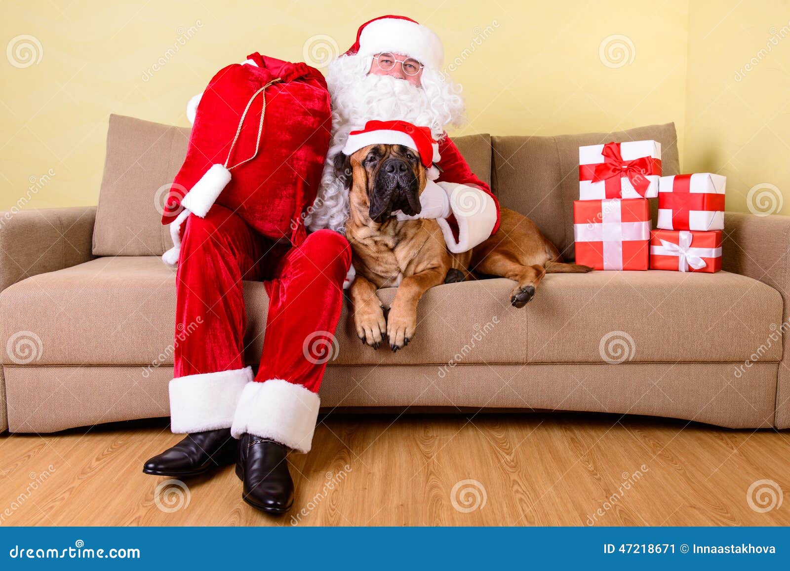 Santa Claus with dog stock image. Image of december, celebration - 47218671