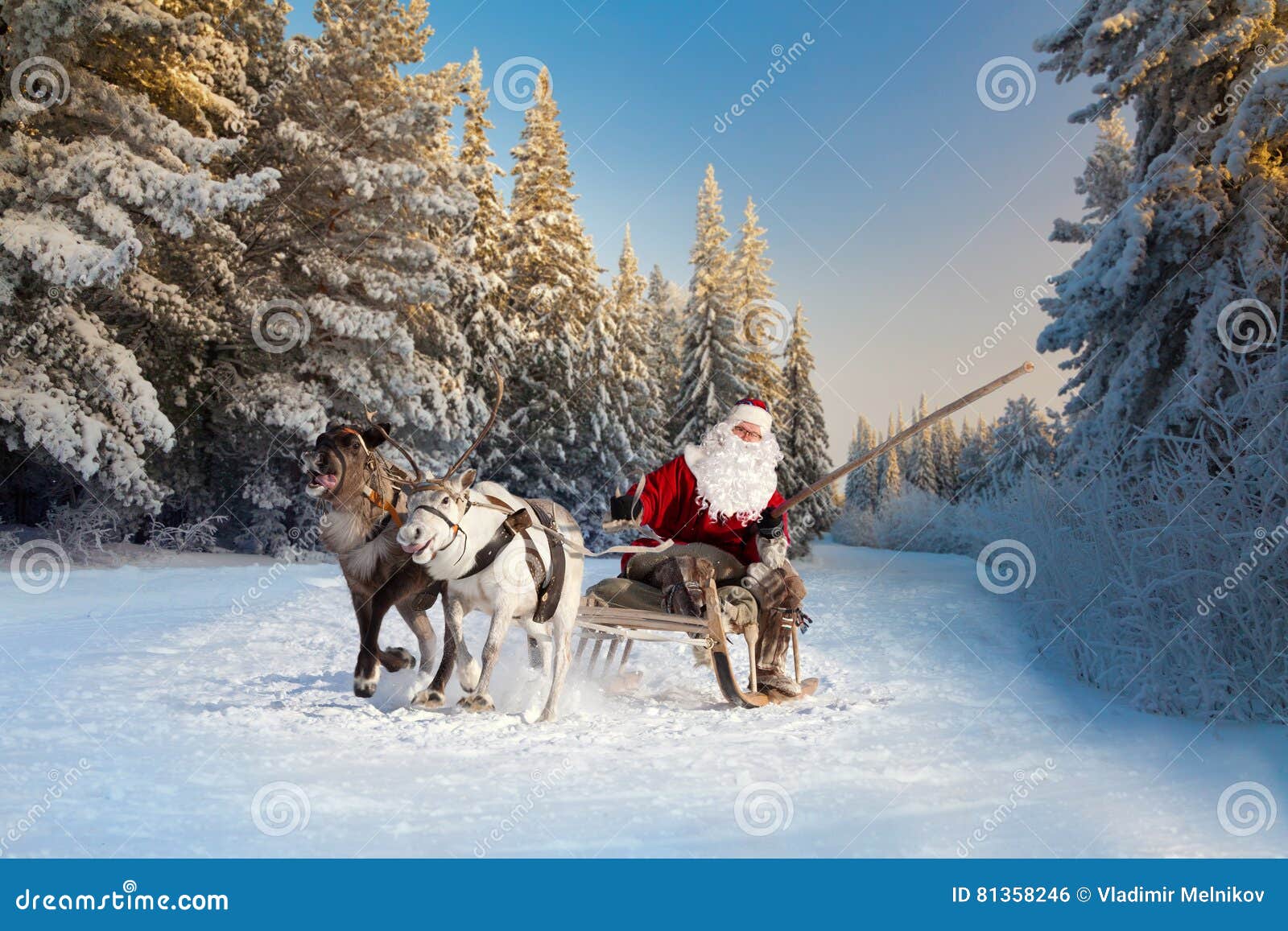 Santa Claus E La Sua Renna in Foresta Fotografia Stock - Immagine di ...
