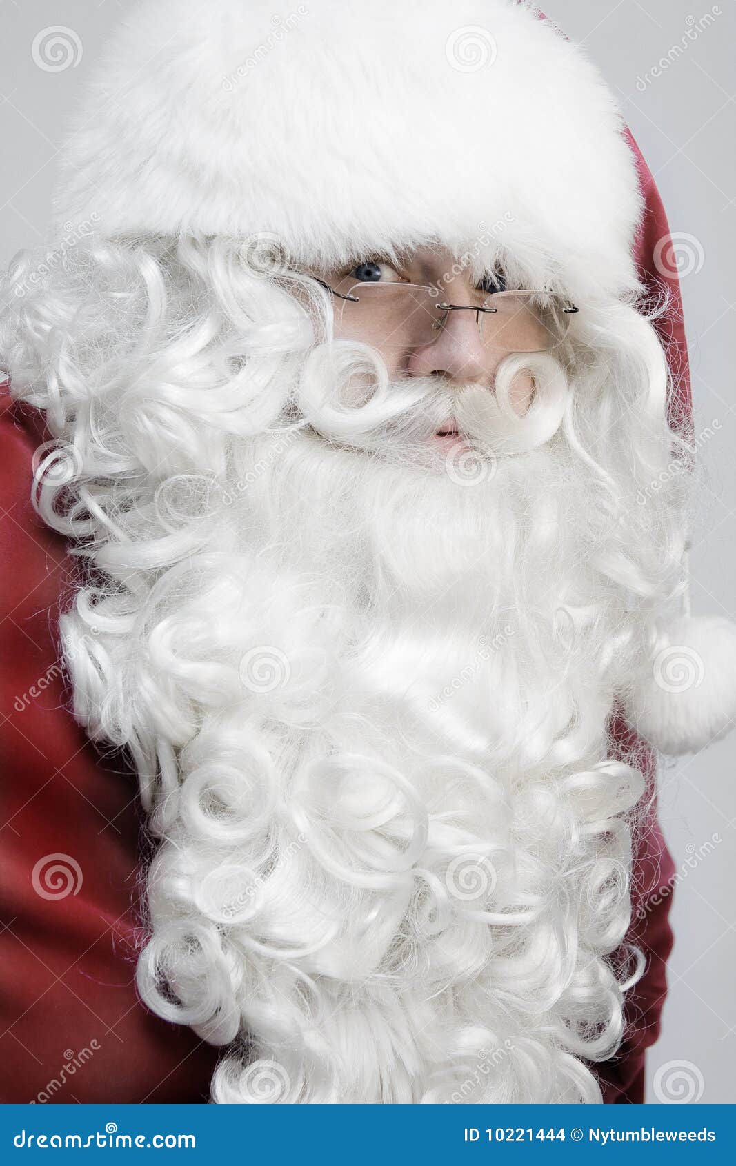 Santa Claus Face stock photo. Image of face, curly, modern - 10221444