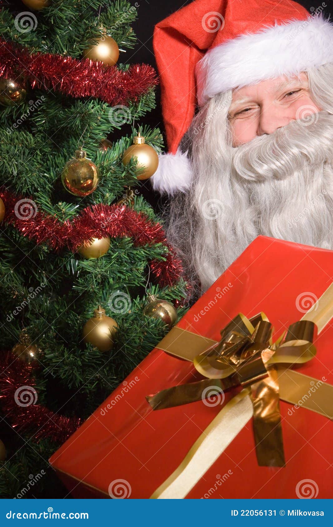 Santa Claus with a gift stock image. Image of holiday - 22056131