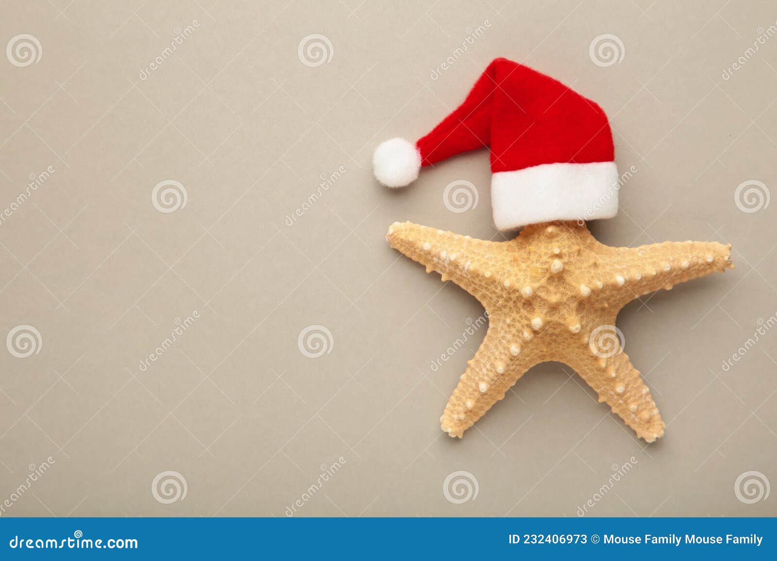Santa Claus Hat on Starfish on Grey Background. Winter Vocation Stock ...