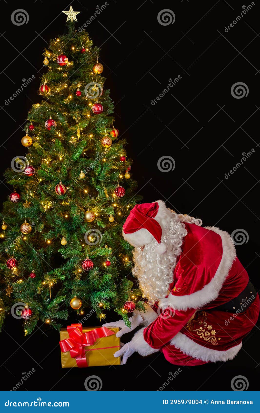 Santa Claus Puts a Christmas Gift Under a Decorated Christmas Tree ...