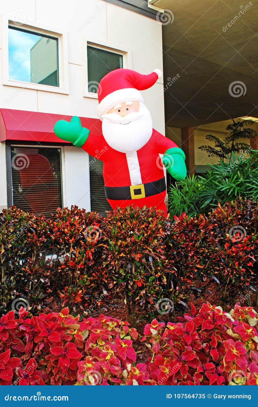 Santa claus stock image. Image of clause, santa, flowers - 107564735