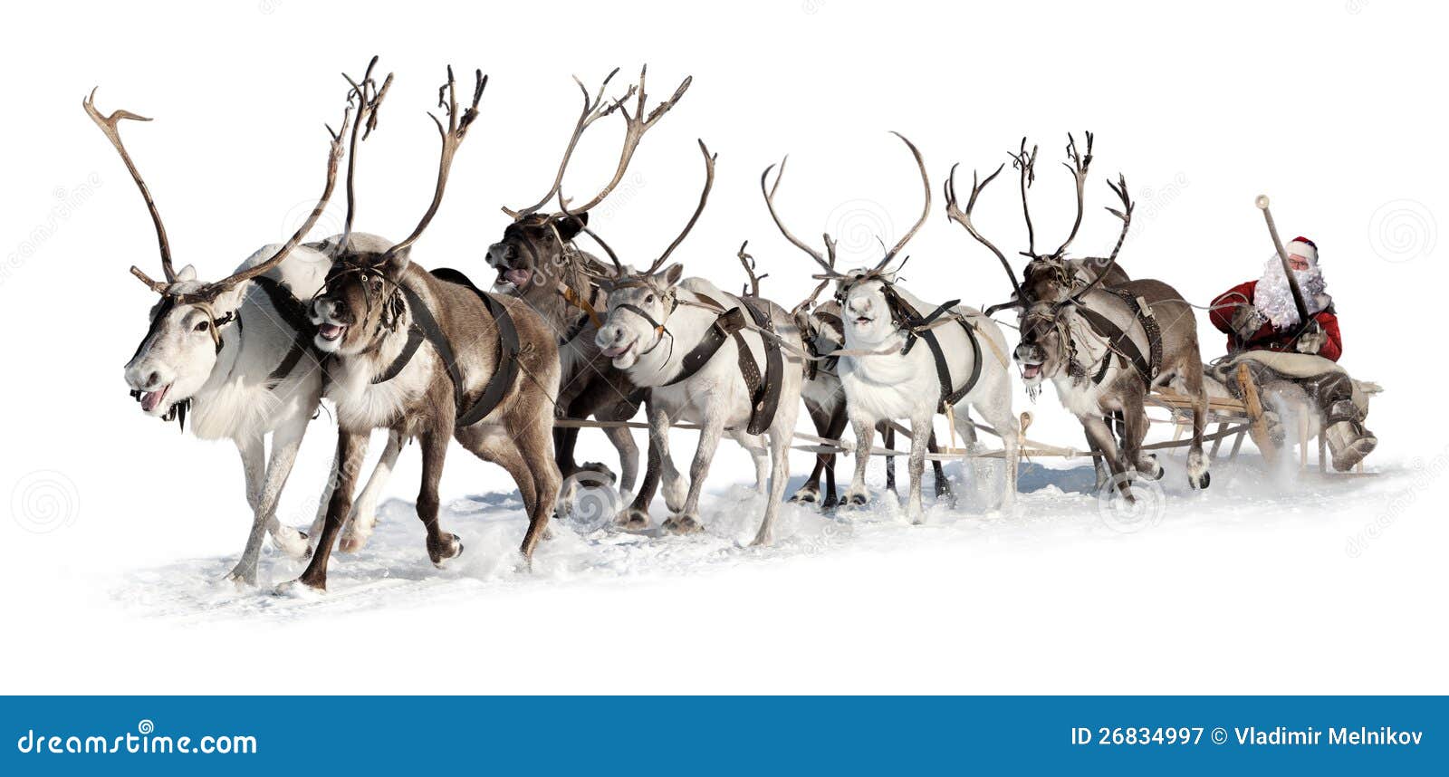 Santa Claus in a sleigh stock image. Image of path, mammal - 26834997