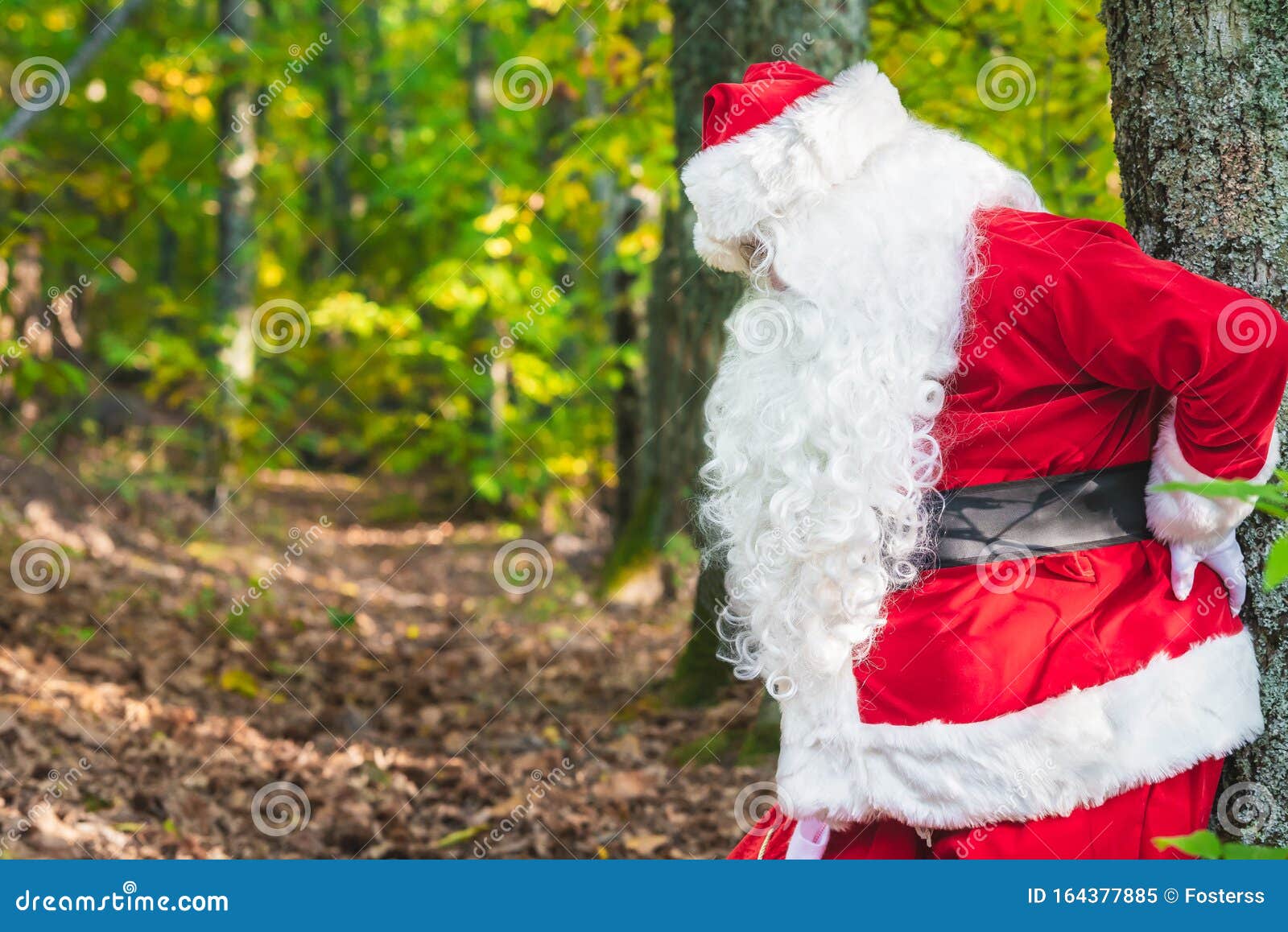 Santa Claus is Suffering from Back Pain on Forest Stock Image - Image ...