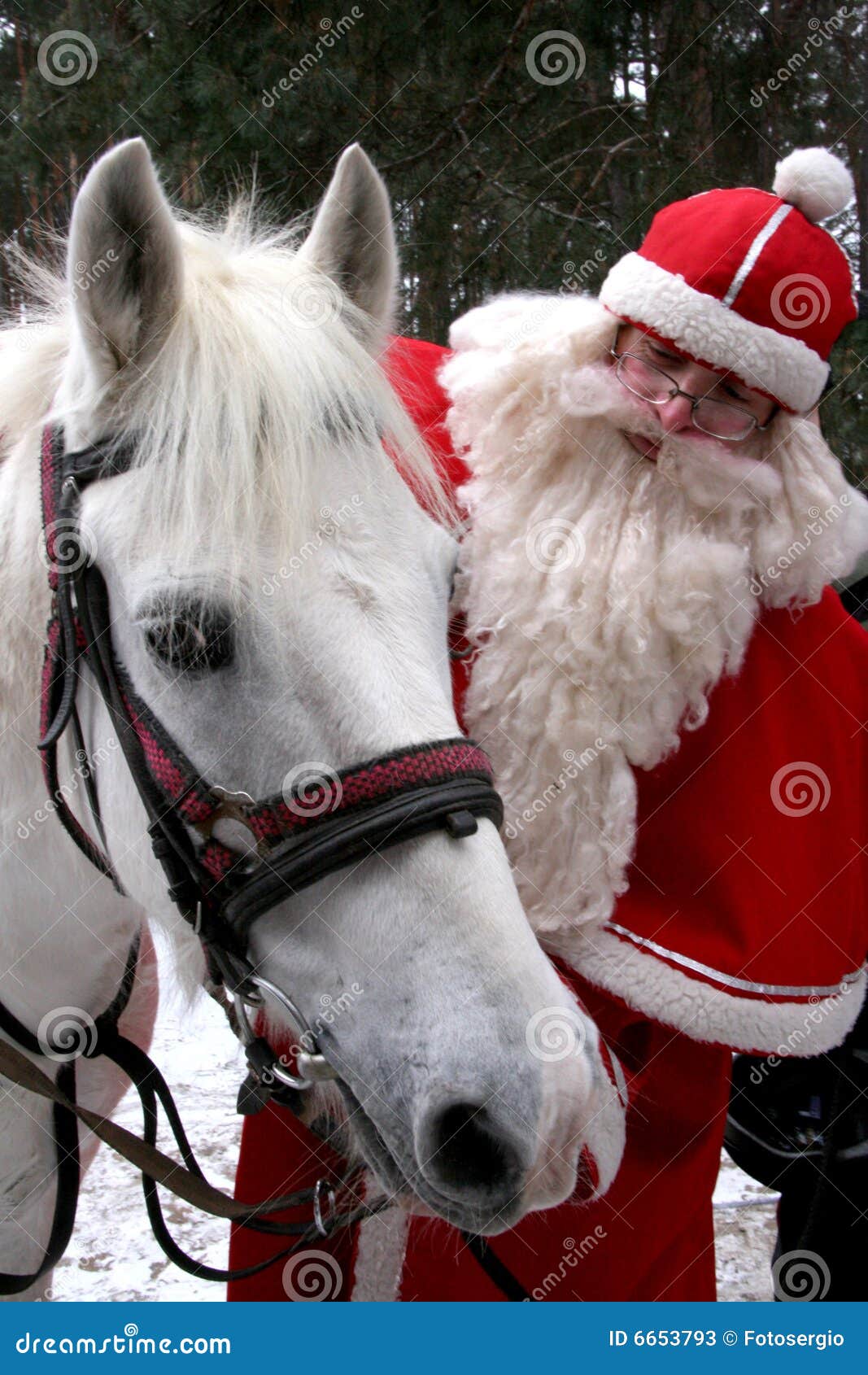 Santa Claus with White Horse Stock Image - Image of outdoors, meet: 6653793