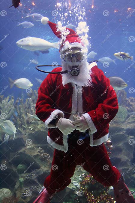 Santa Clause stock image. Image of coral, diving, explore - 1131169