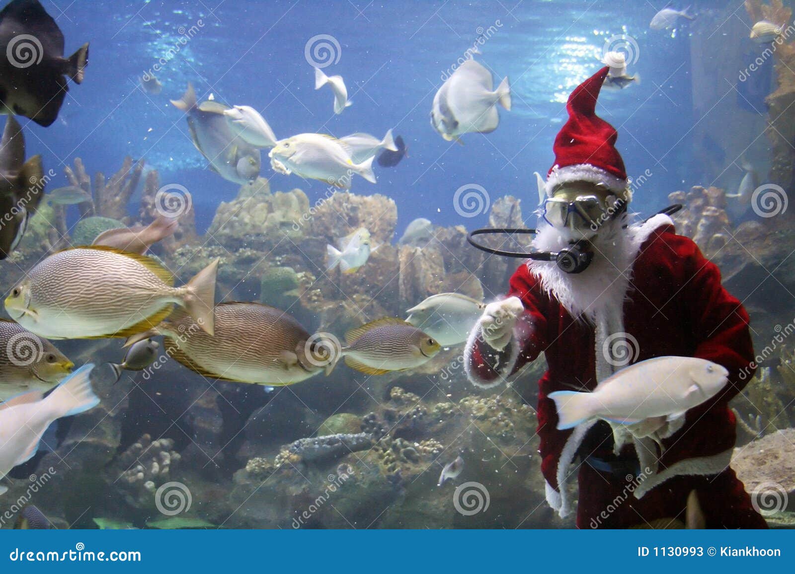 Santa Clause Feeding Fishes Stock Image - Image of people, ocean: 1130993