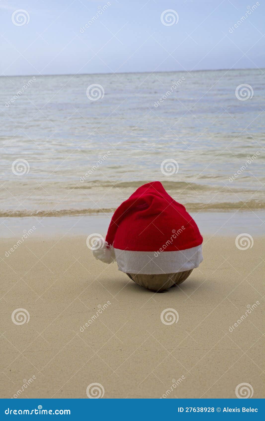 Santa coconut stock photo. Image of nature, coconut, santa - 27638928