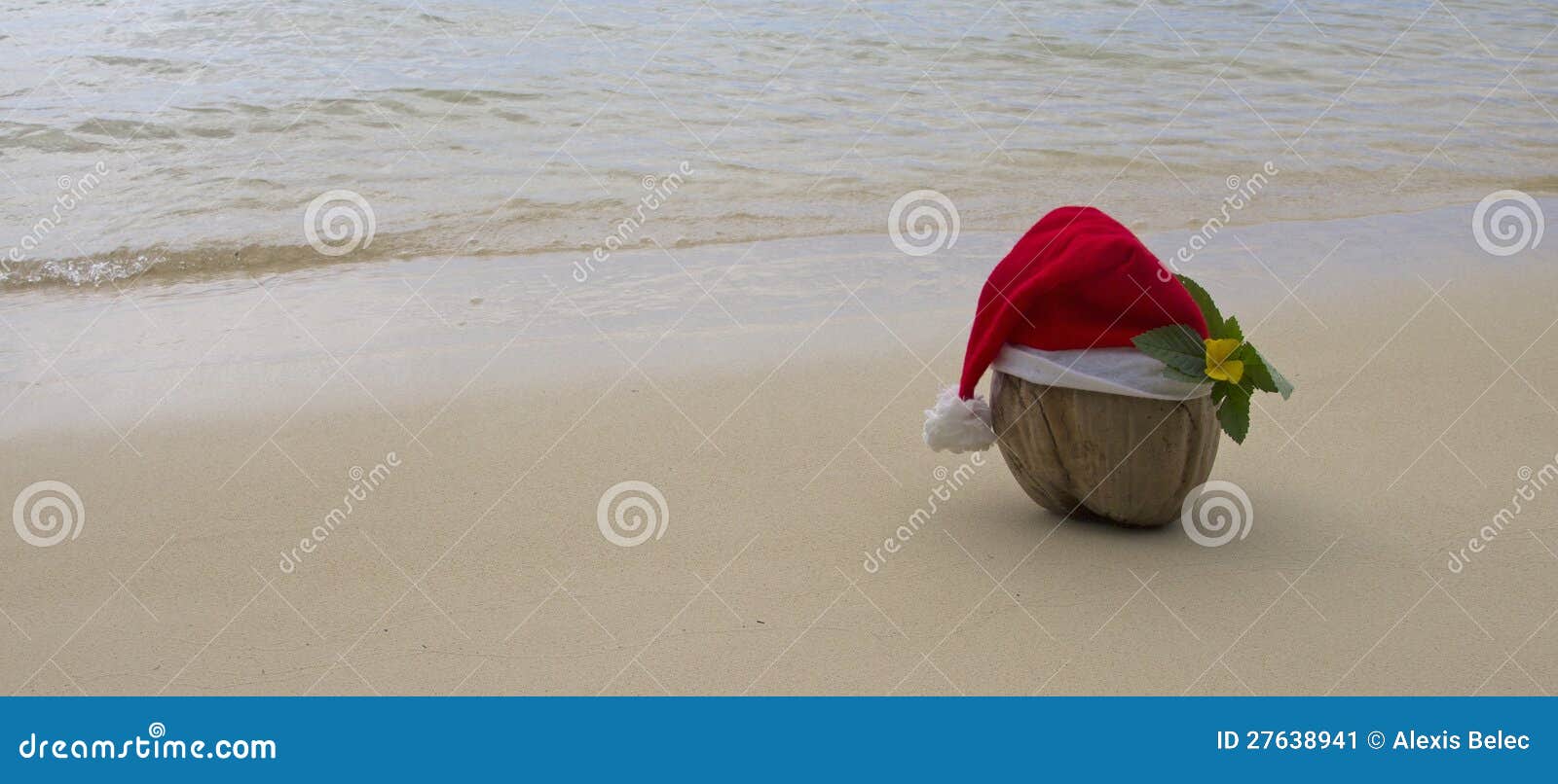 1,042 Santa Coconut Stock Photos - Free & Royalty-Free Stock Photos ...