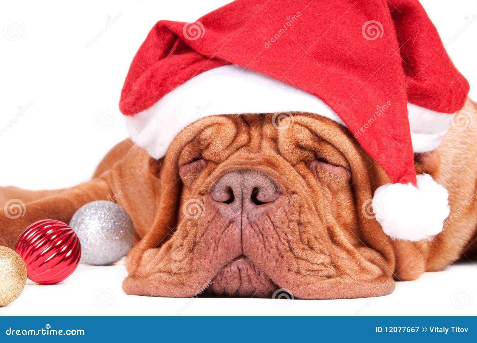When is Santa coming? stock image. Image of costume, adorable - 12077667