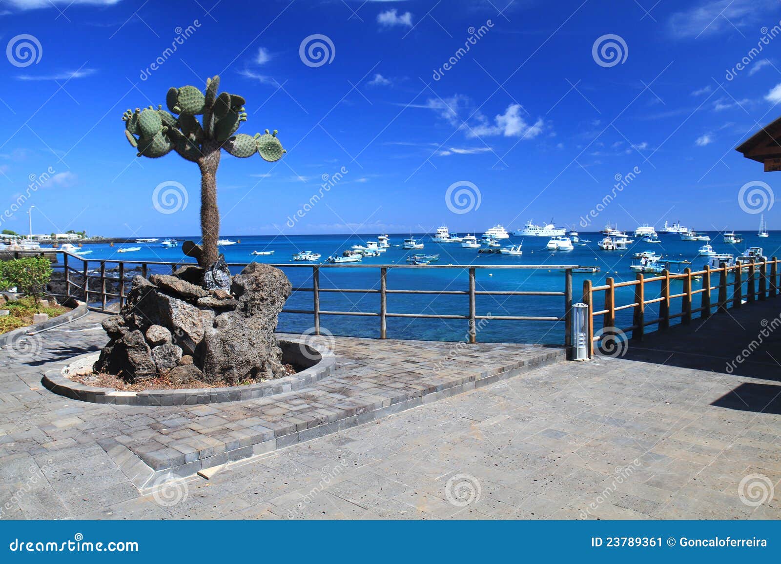 Santa Cruz Island, Galapagos Stock Image - Image of galapagos, ecuador ...