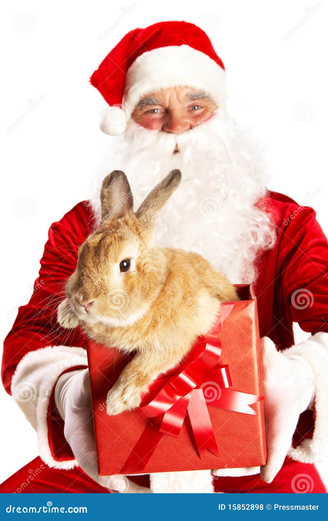 Santa with cute bunny stock photo. Image of present, event - 15852898