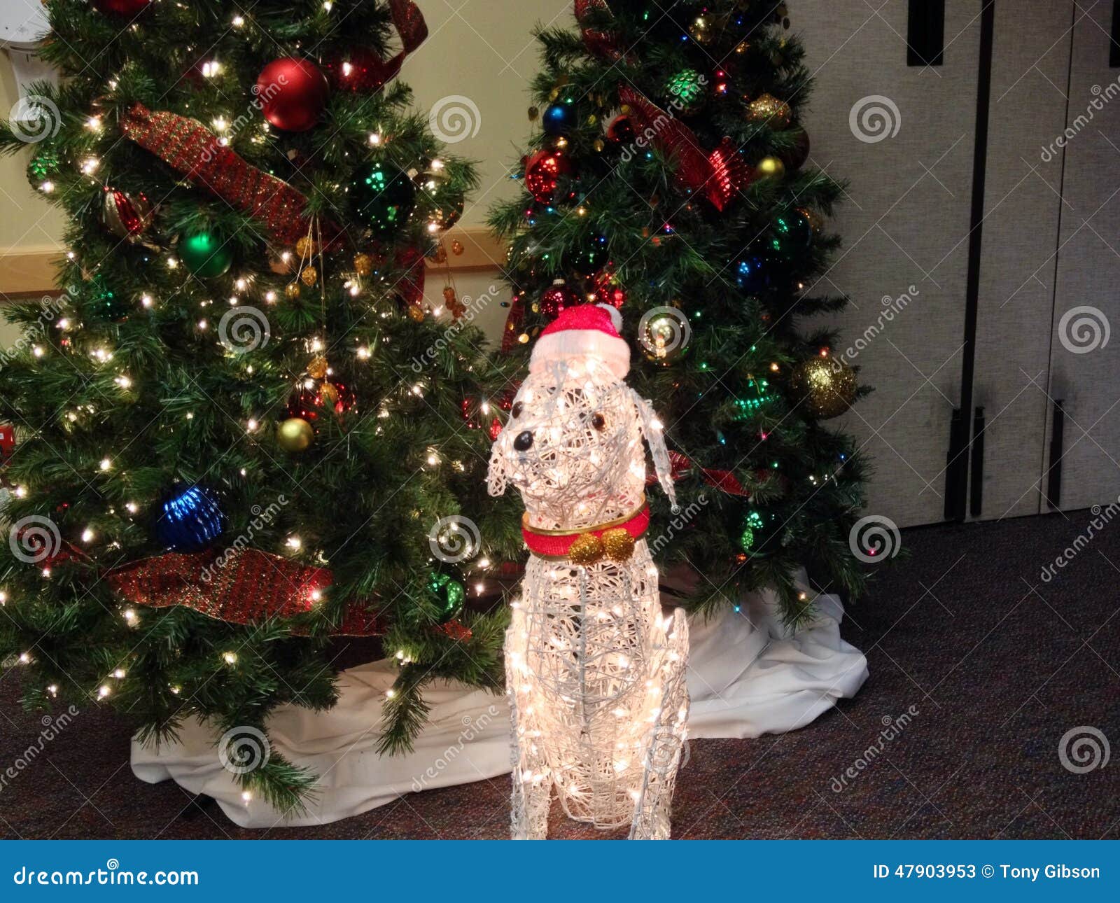 Santa Dog stock image. Image of festive, merry, lighted - 47903953