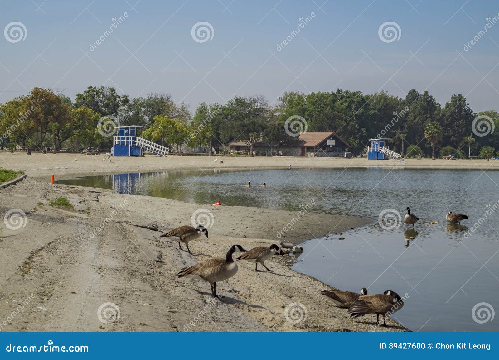 Santa Fe Dam Recreation Area Foto de archivo - Imagen de playa, vida ...