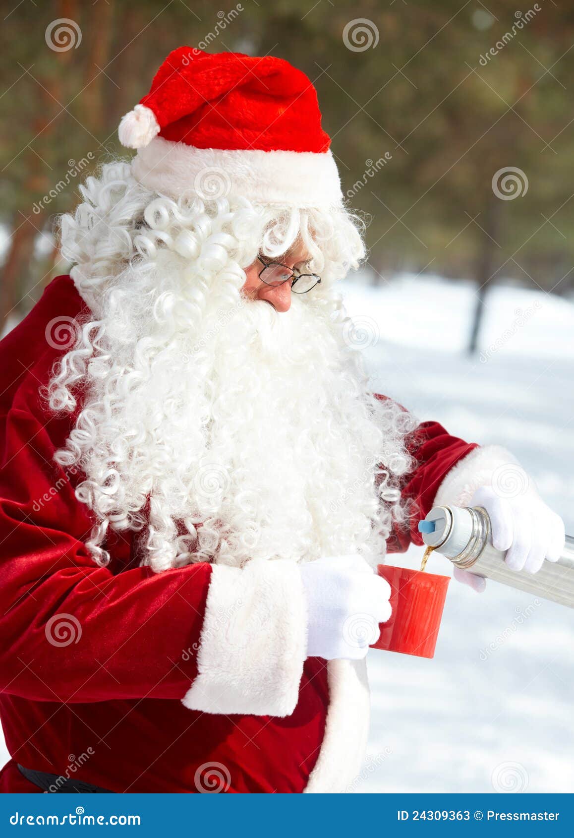 Santa in the forest stock image. Image of people, elderly - 24309363