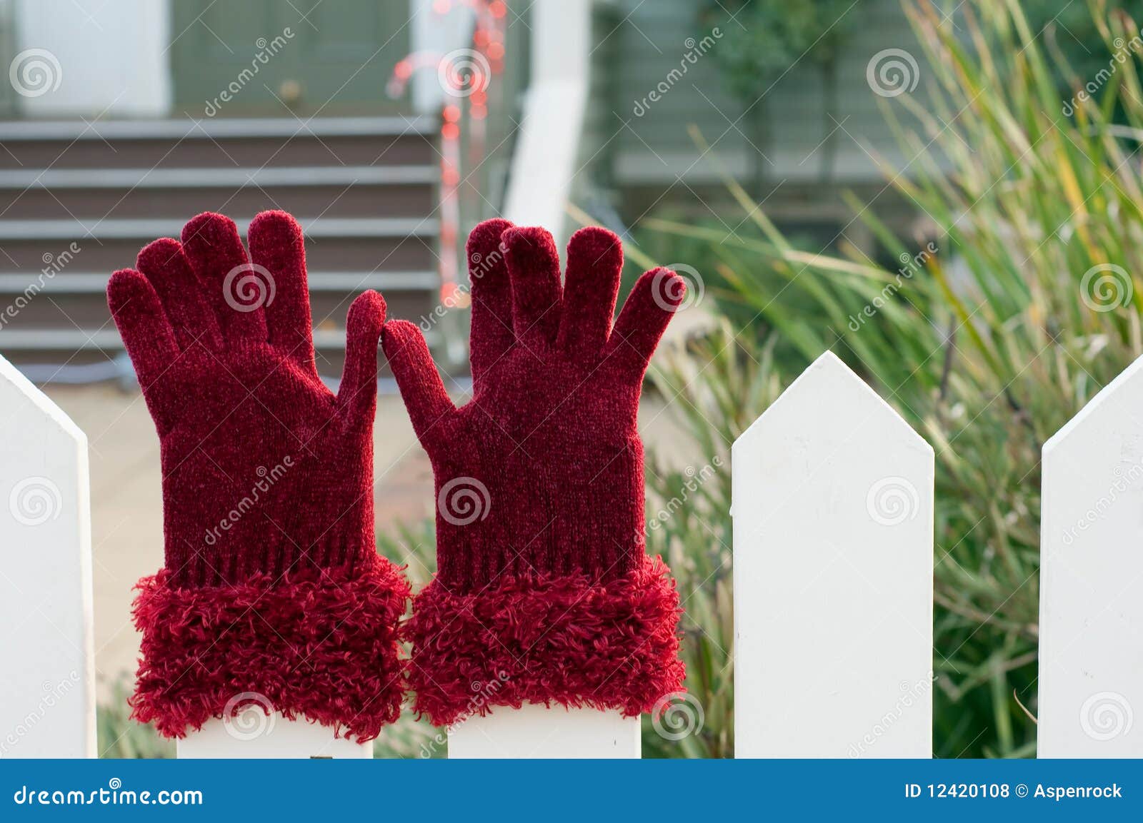 Santa gloves stock photo. Image of white, picket, candy - 12420108