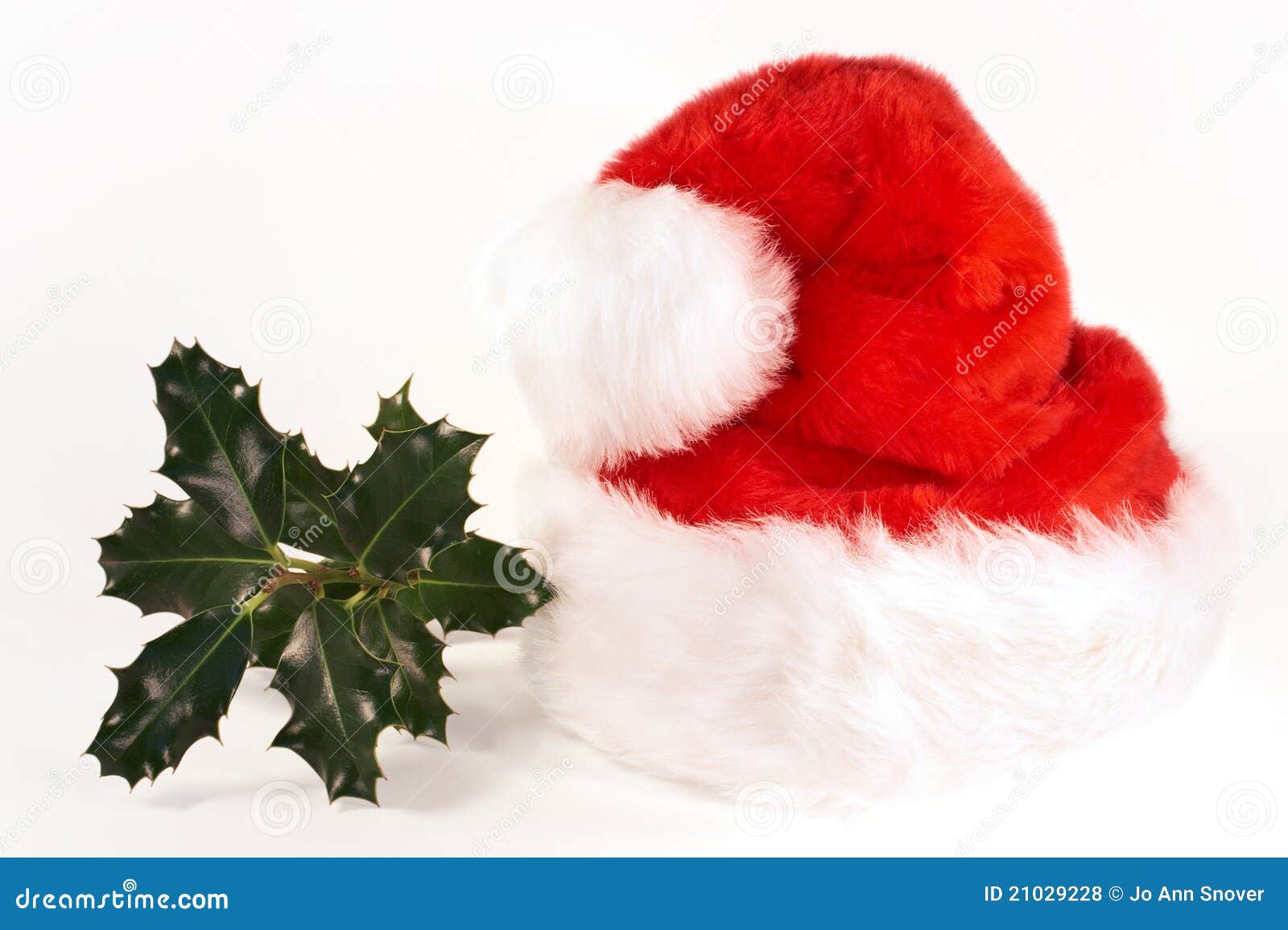 Santa hat and holly stock photo. Image of bent, furry - 21029228