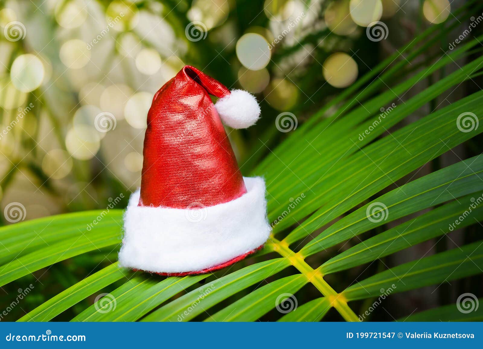 Santa Hat on a Palm Tree. Christmas Holidays Stock Image - Image of ...
