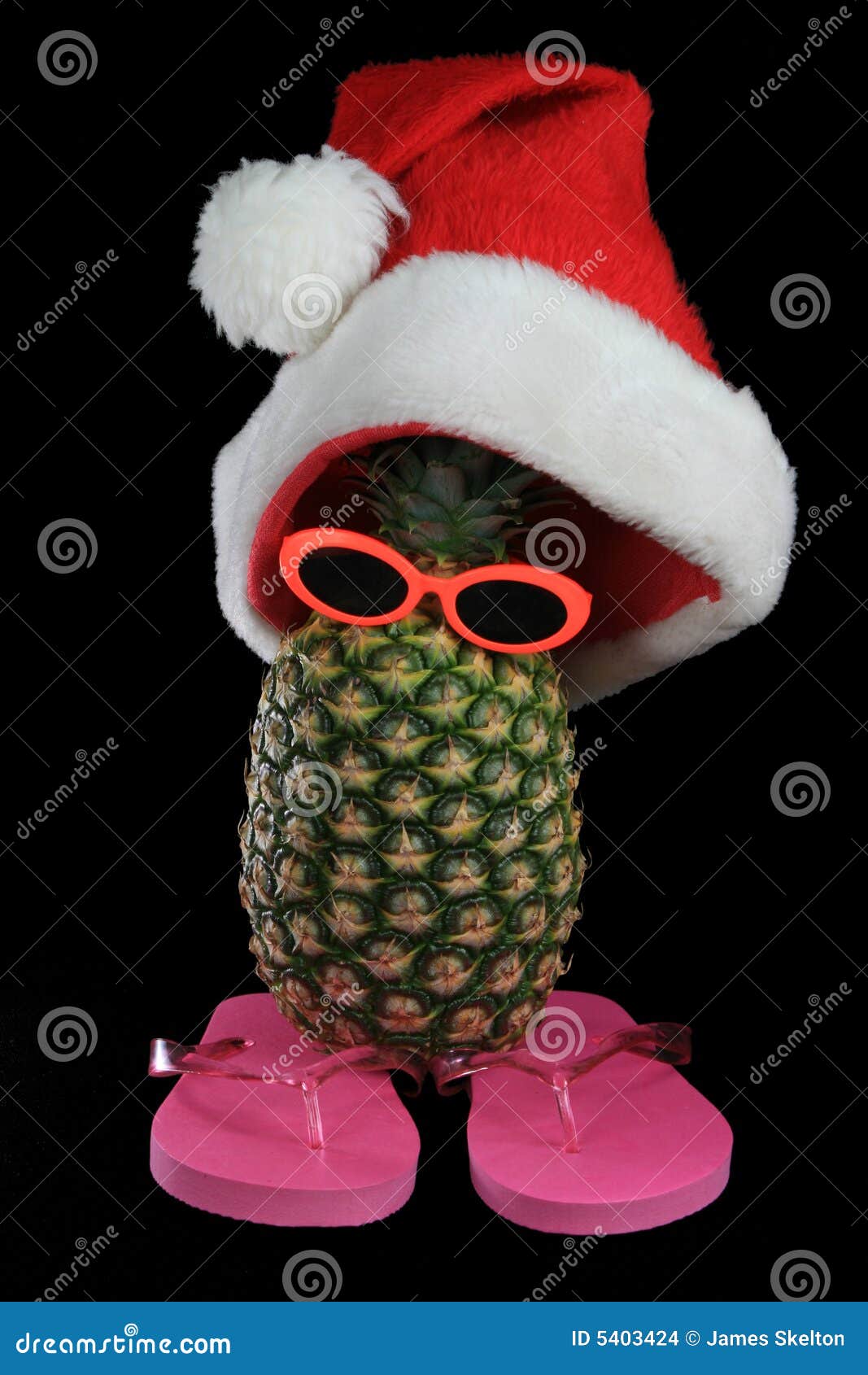 Santa Hat On Silly Pineapple Royalty-Free Stock Image | CartoonDealer ...