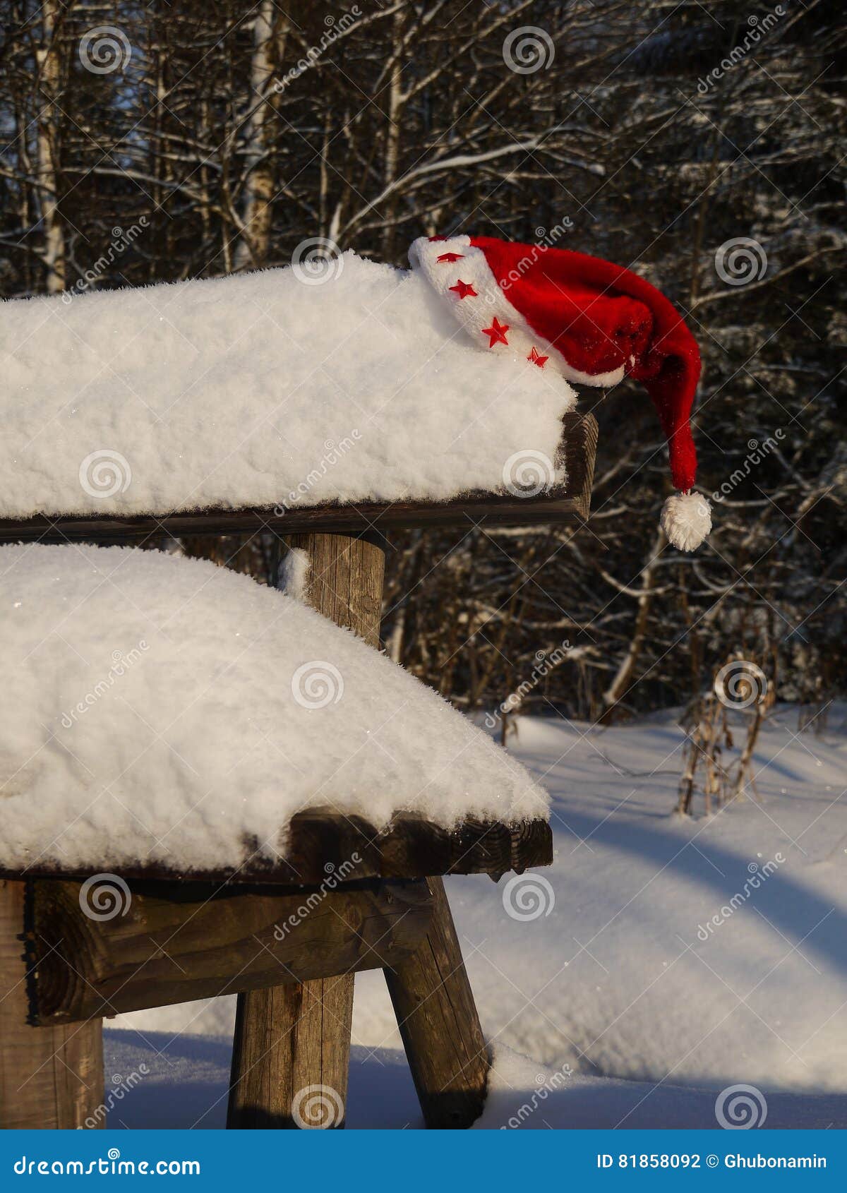 Santa hat in the snow stock photo. Image of celebration - 81858092