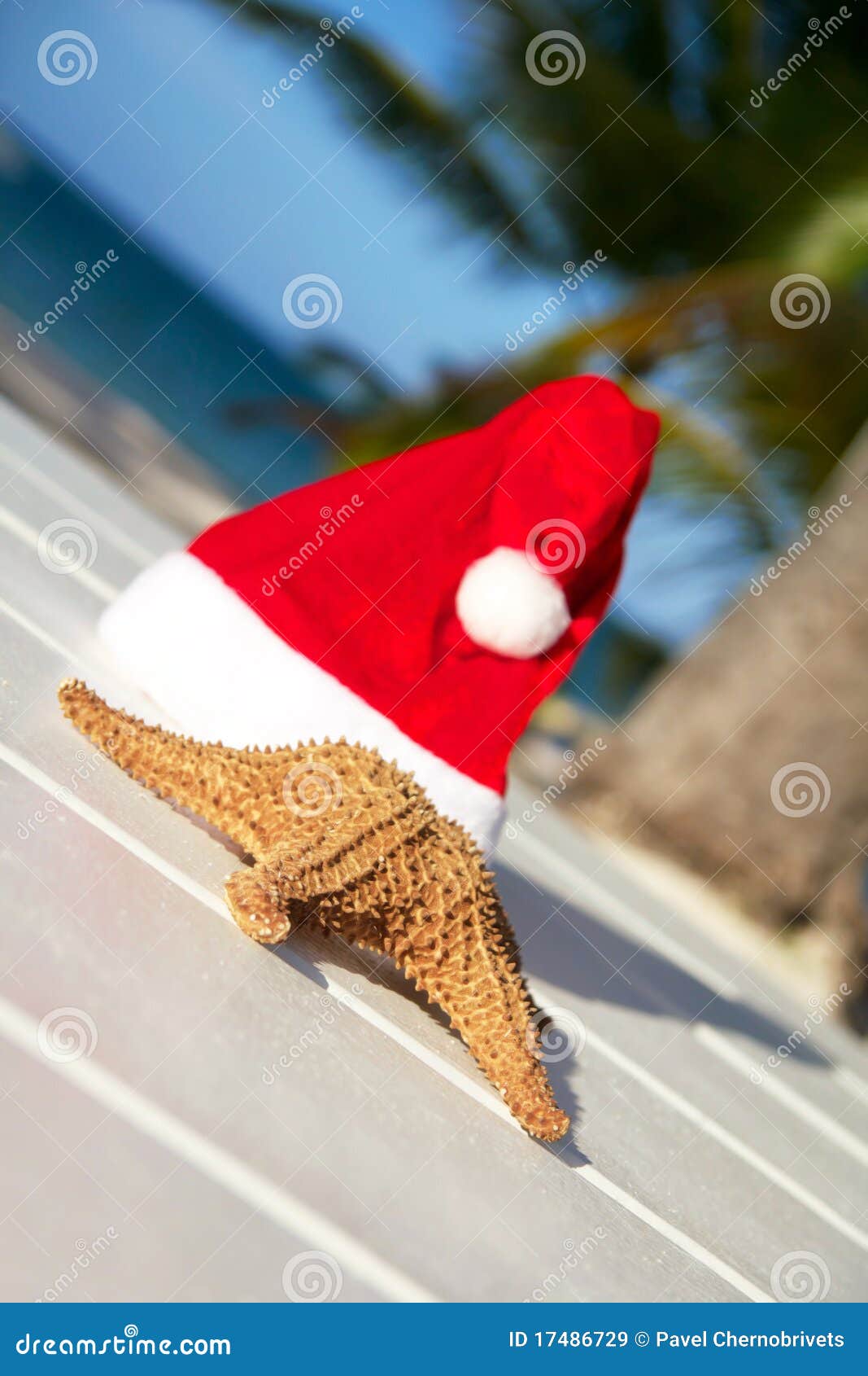 Santa Hat and Starfish on Wooden Table Stock Image - Image of fish ...