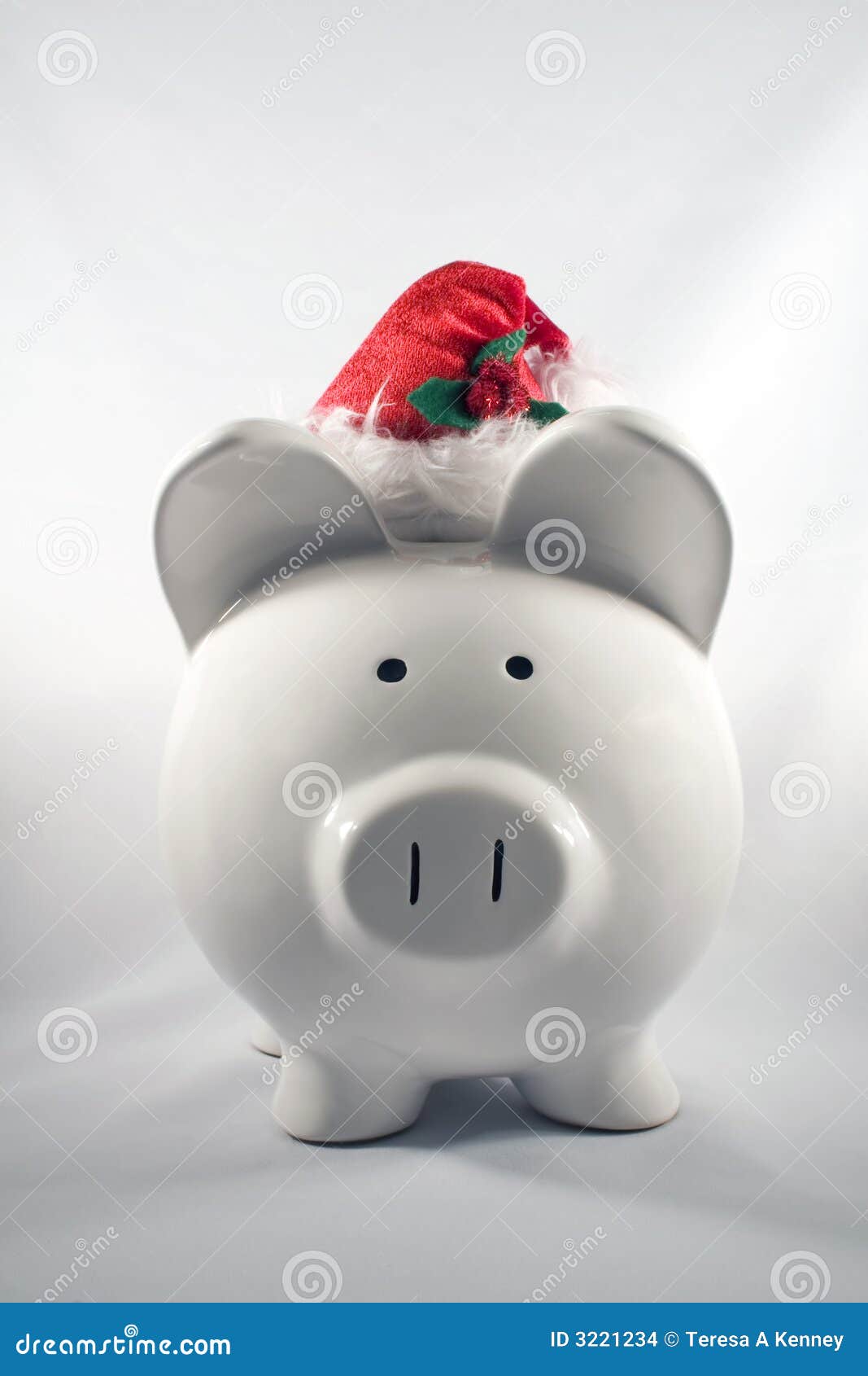 Santa Pig stock photo. Image of humorous, greetings, seasonal - 3221234