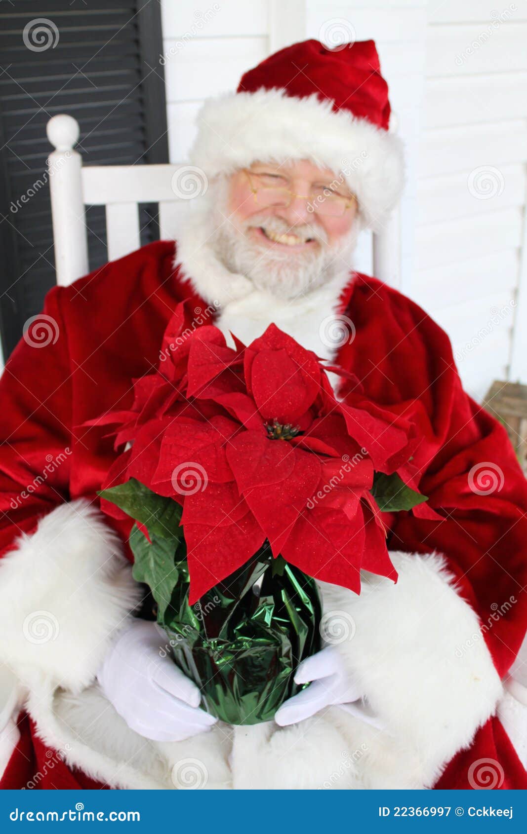 Santa with a Poinsettia stock image. Image of grass, nature - 22366997