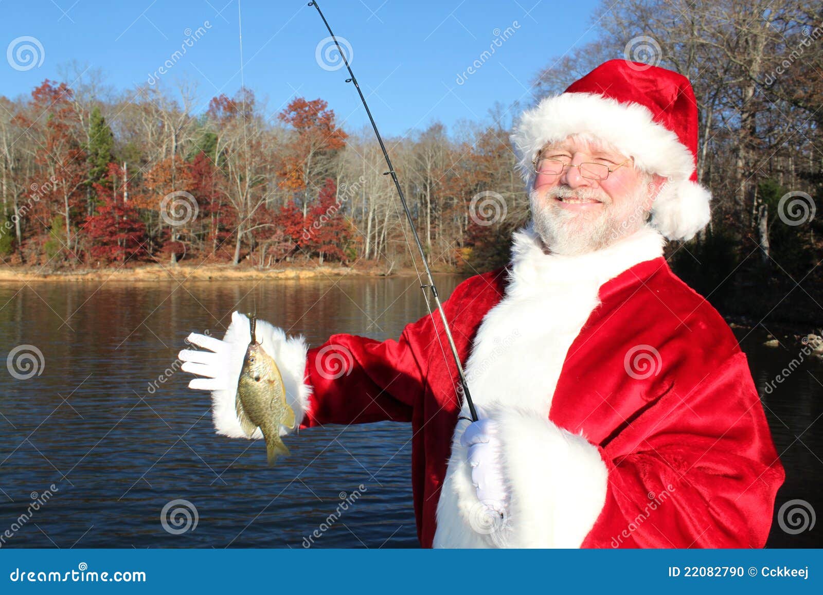 Clatch Stock Photos - Free & Royalty-Free Stock Photos from Dreamstime