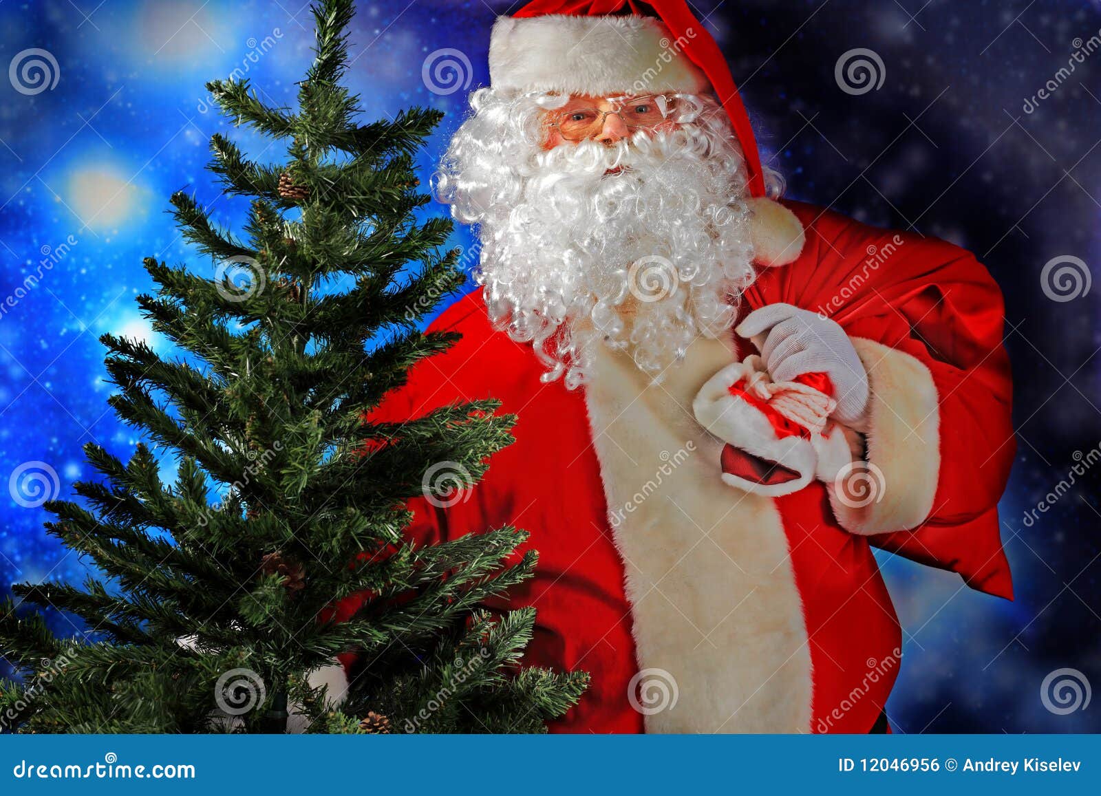 Santa with a tree stock photo. Image of festive, santa - 12046956