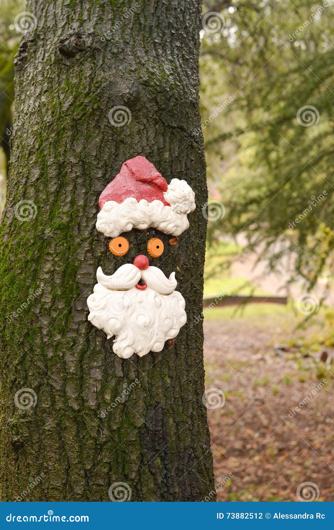 Santa Tree face stock photo. Image of smiley, holiday - 73882512