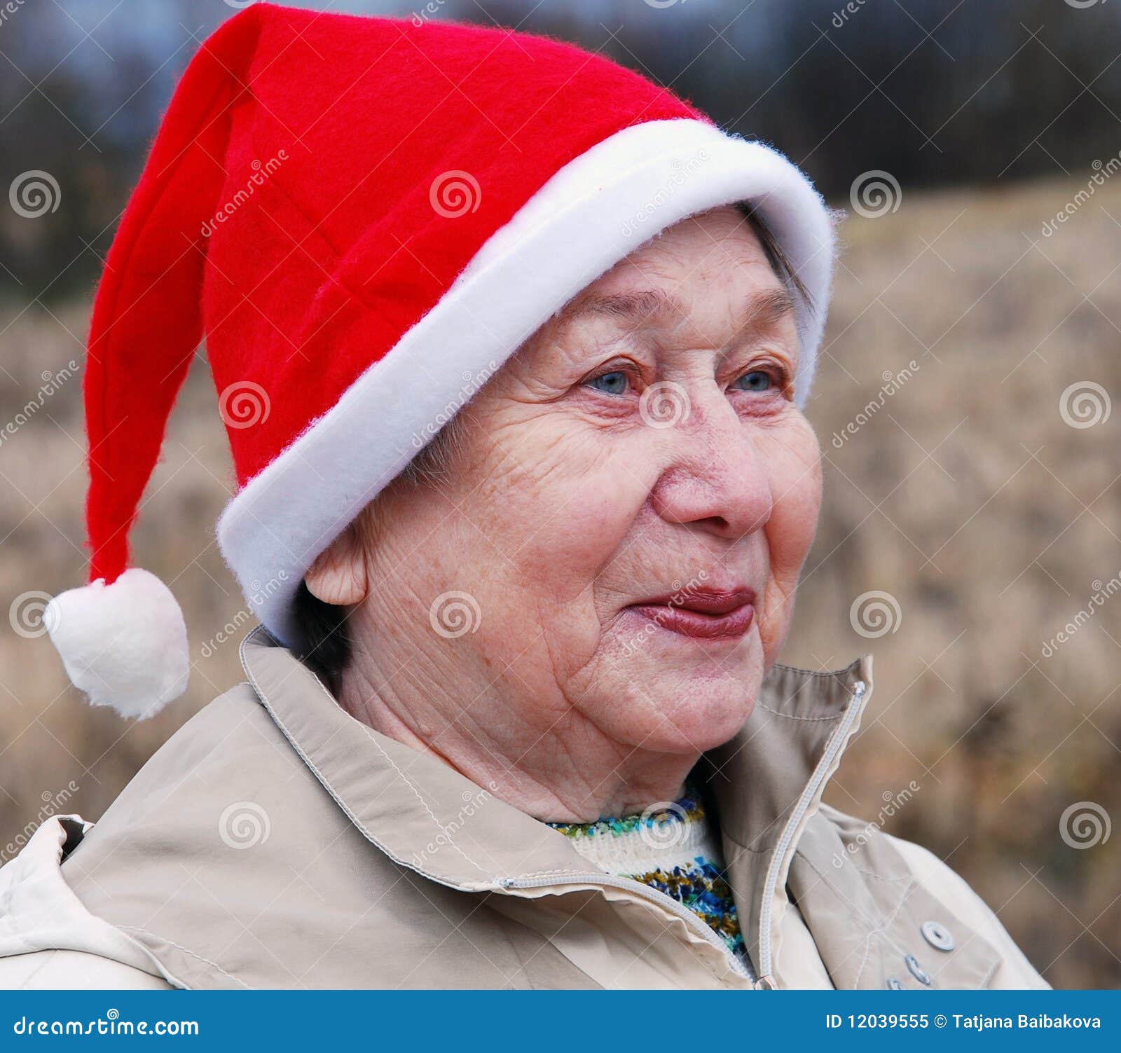 Santa woman stock image. Image of holidays, christmas - 12039555