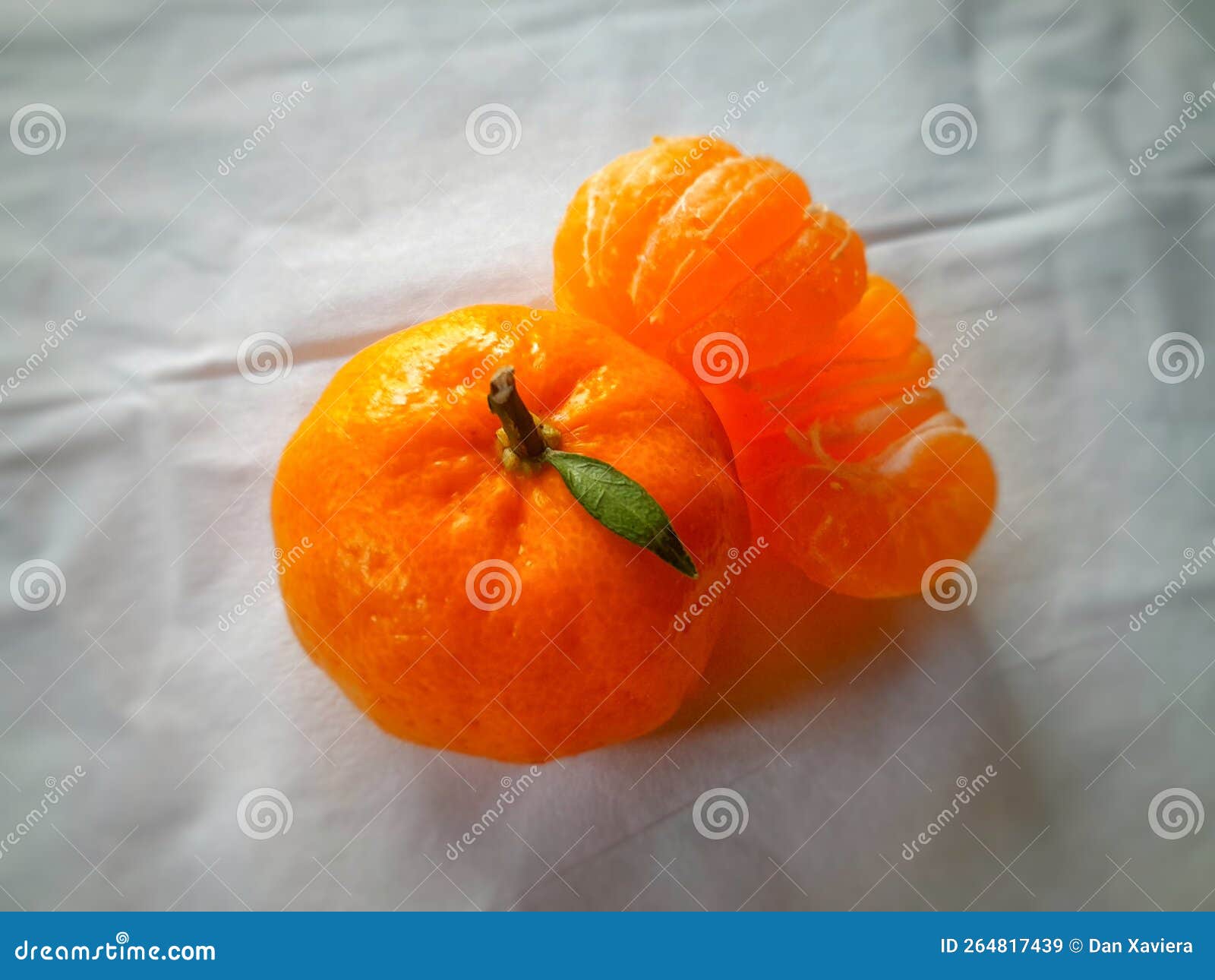 Santang Orange stock image. Image of organic, fruit - 264817439