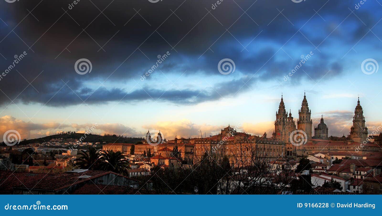 Santiago De Compostela Sign On A Appeal Tree Royalty-Free Stock Photo ...