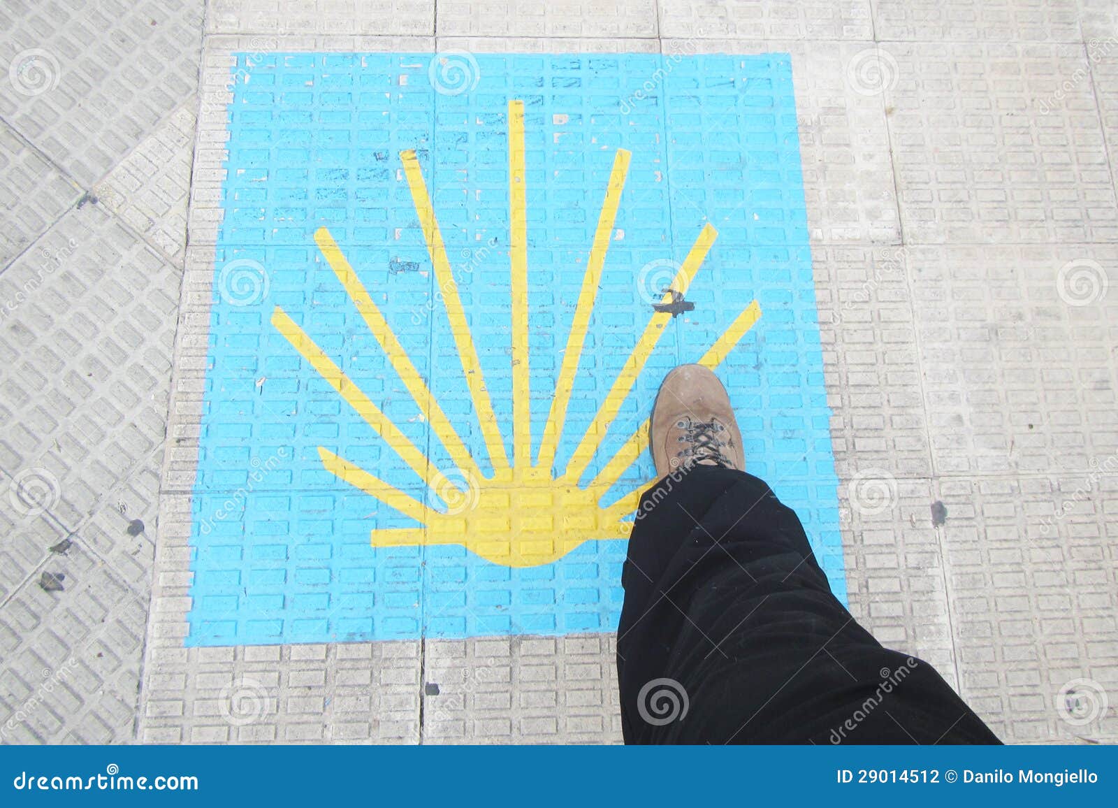 Santiago shell stock photo. Image of navarre, trip, shell - 29014512