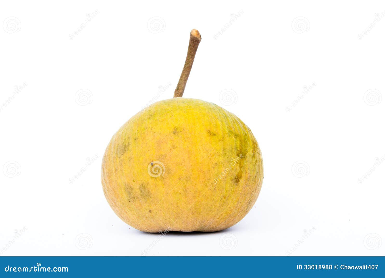 Santo fruit stock photo. Image of health, vitamin, medicine - 33018988