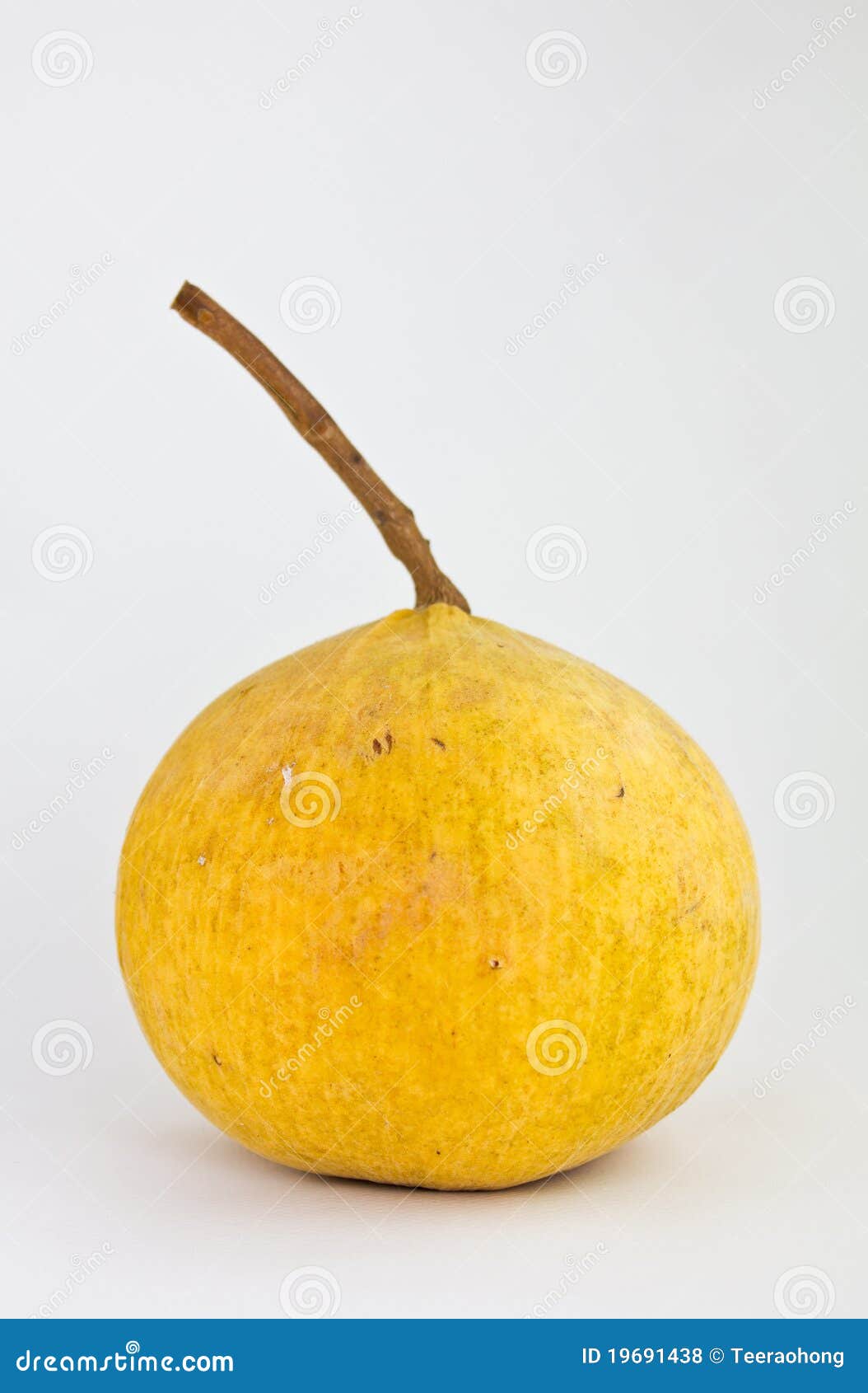 Santol. stock photo. Image of hemispherical, orange, close - 19691438
