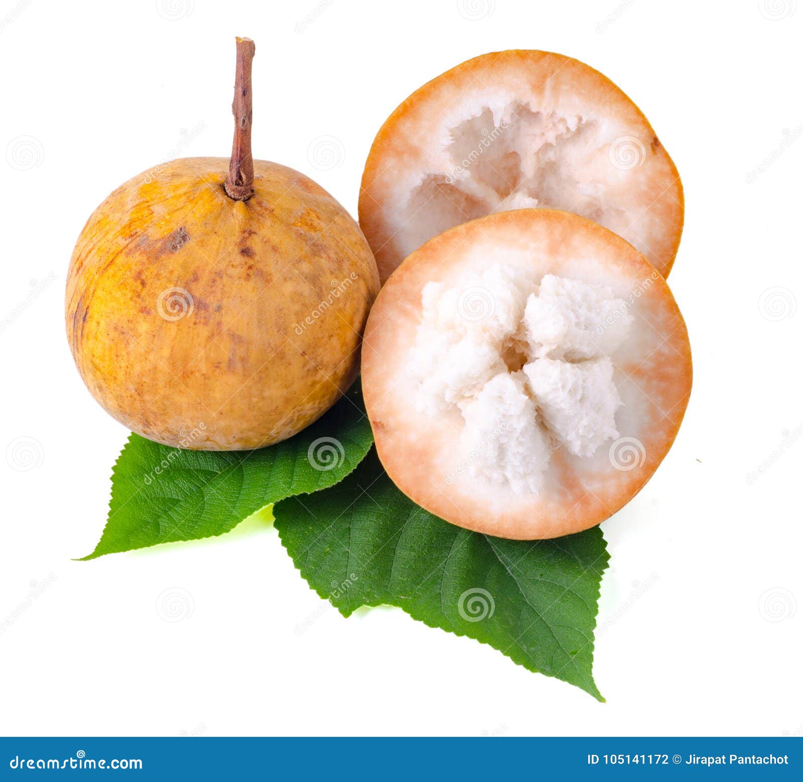 Santol Fruit Isolated on White Background Stock Photo - Image of tasty ...