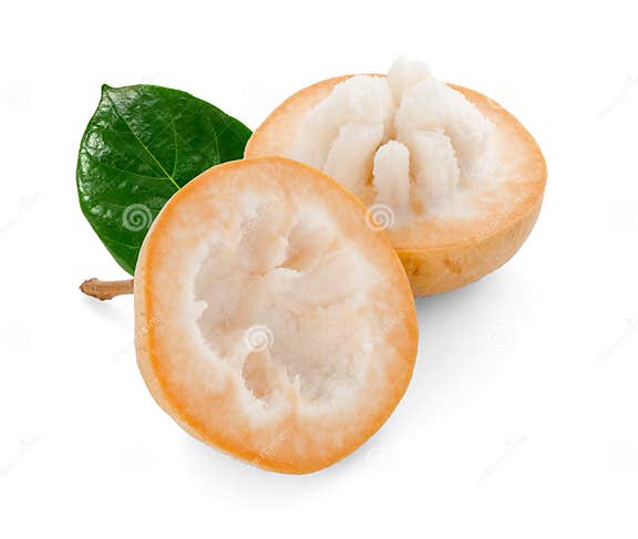 Santol Fruit Isolated on White Background Stock Image - Image of ...