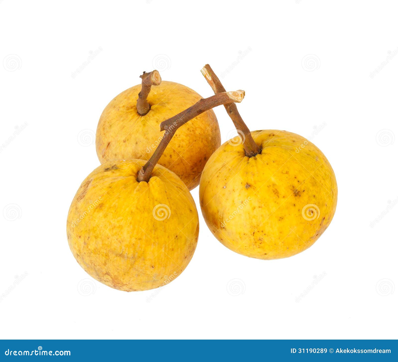 Santol
