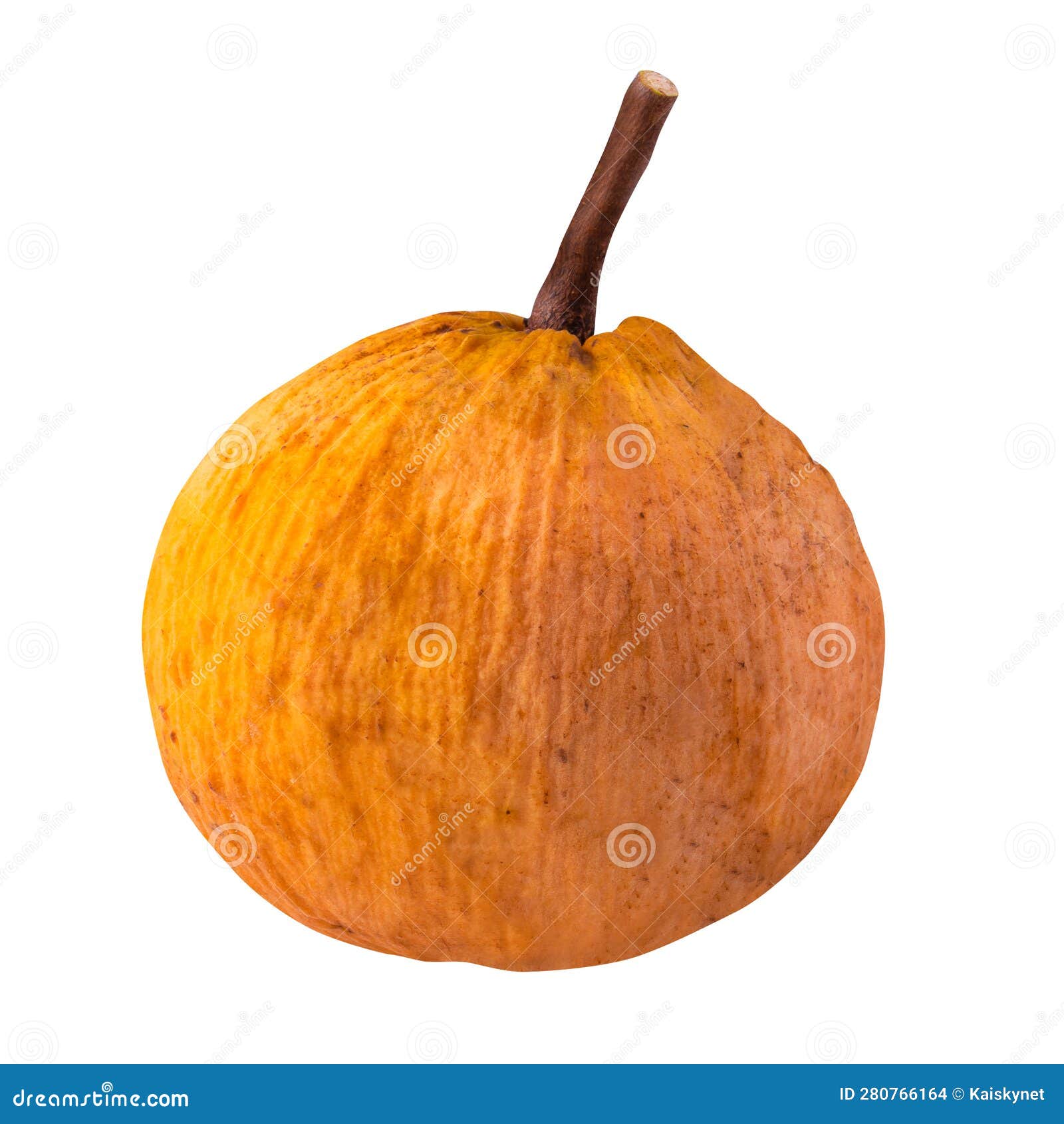 Santol Fruit and Santol ( Meliaceae ) Isolated on White Background ...