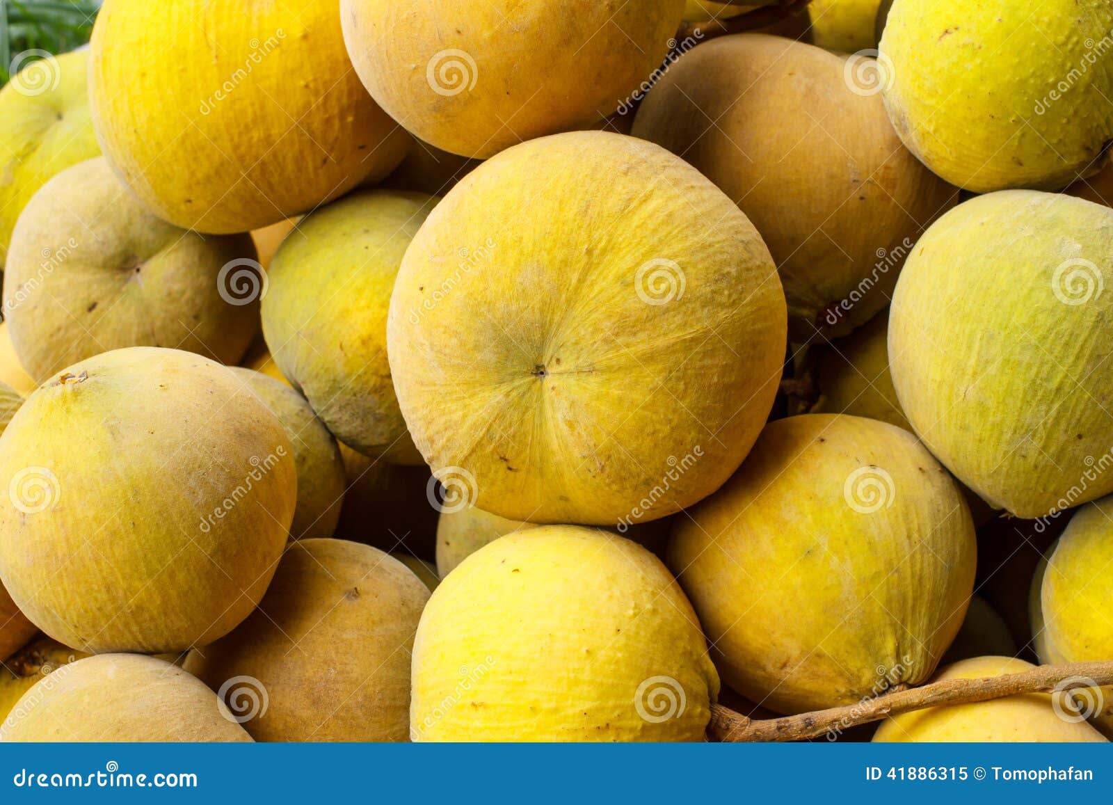 Santol stock image. Image of sandoricum, orange, asia - 41886315