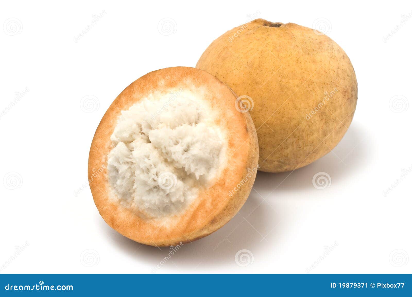 Santol on white background stock image. Image of background - 19879371