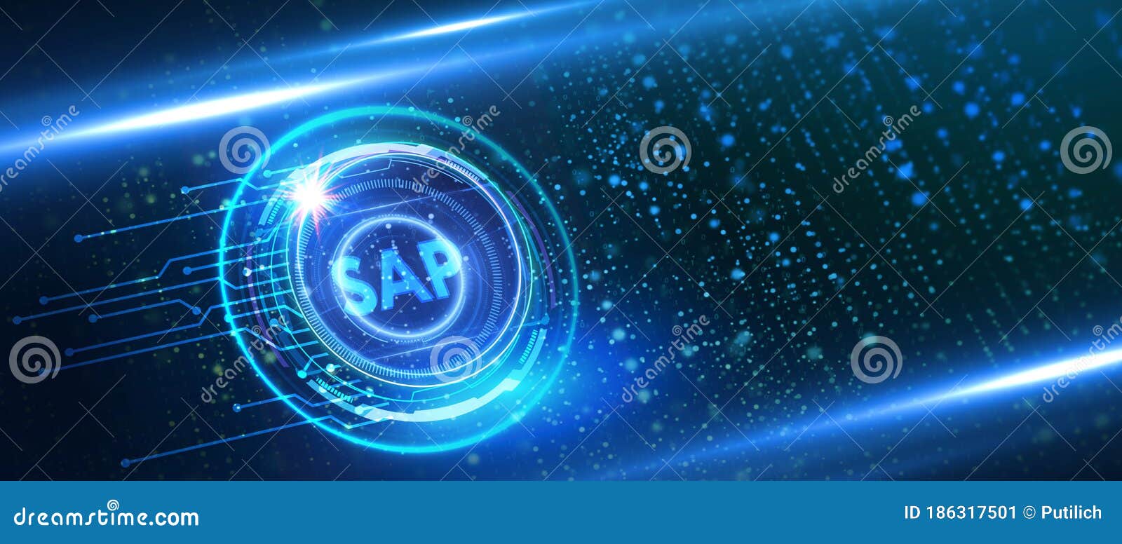 SAP System Software Automation Concept on Virtual Screen Data Center ...