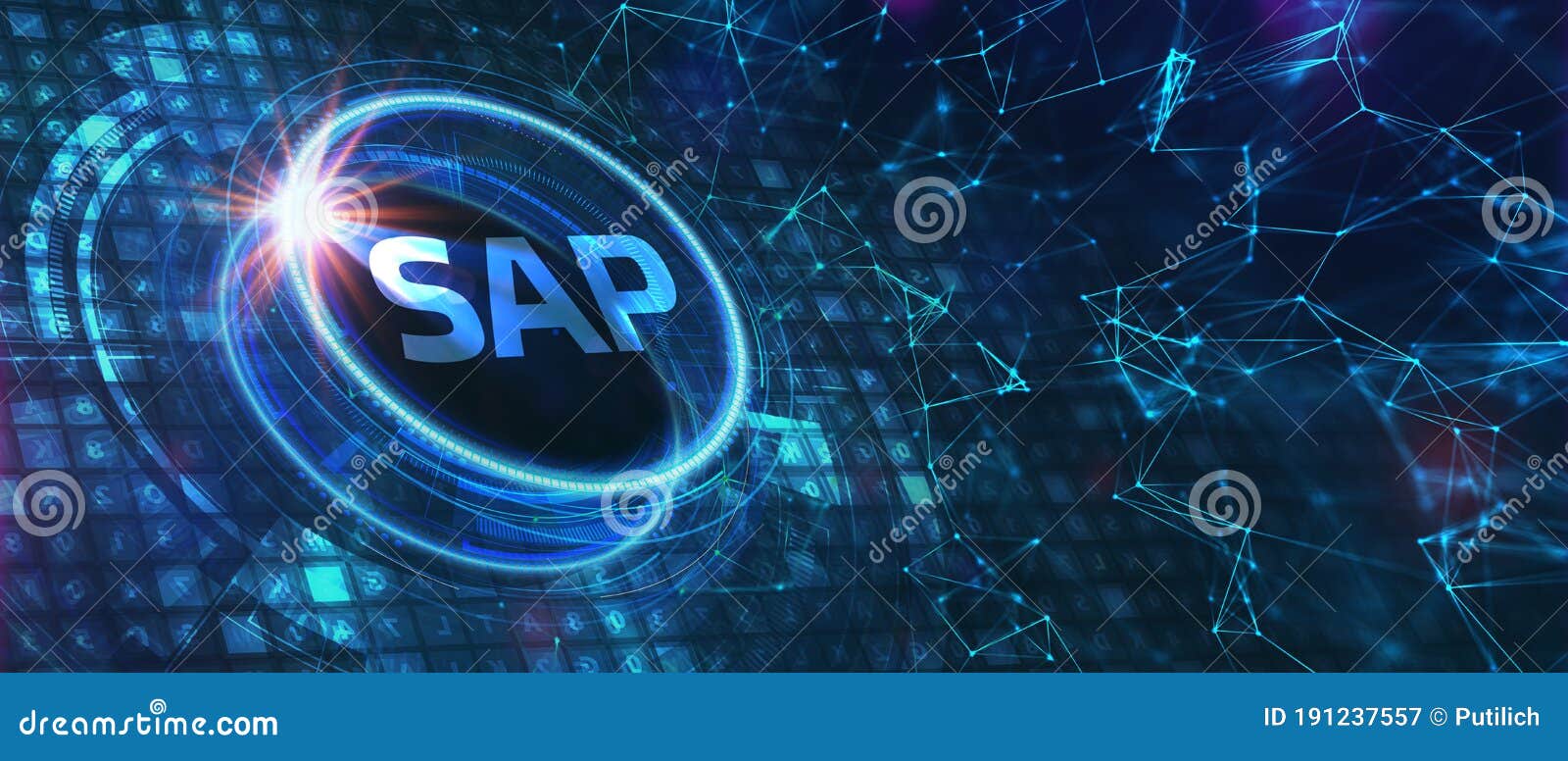 SAP System Software Automation Concept on Virtual Screen Data Center ...