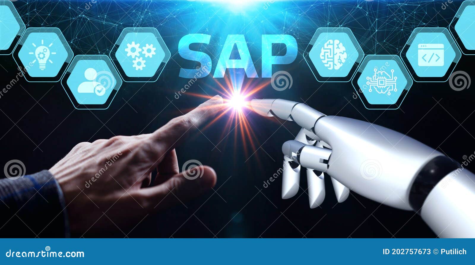 SAP System Software Automation Concept on Virtual Screen Data Center ...