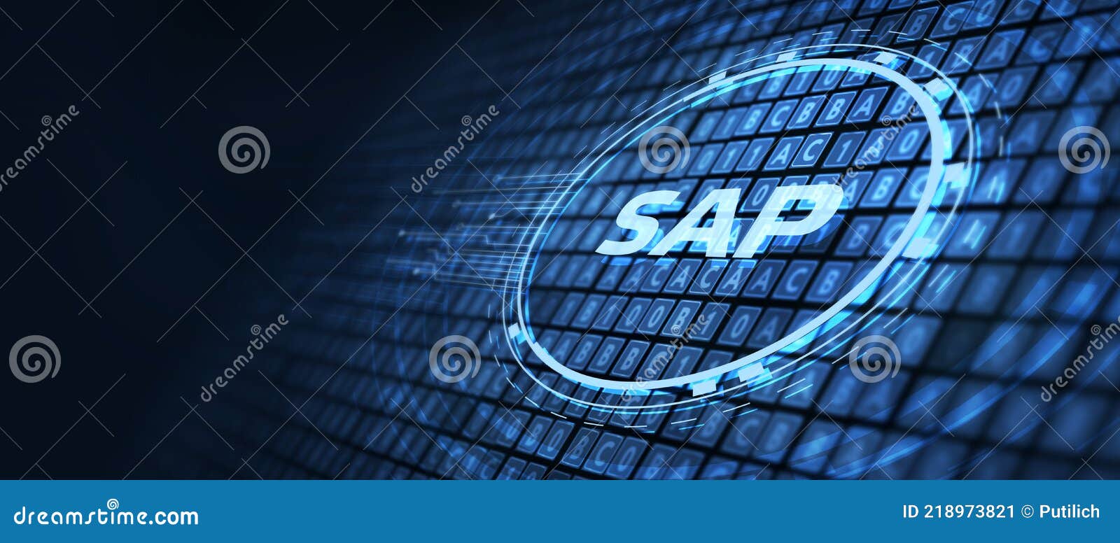 SAP System Software Automation Concept on Virtual Screen Data Center ...